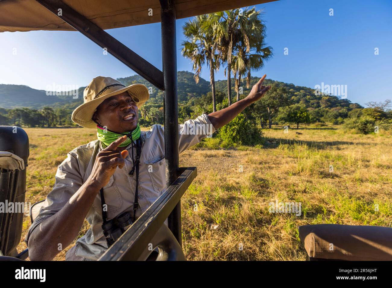 With guide in safari vehicle through Liwonde National Park, Malawi. Tom ...