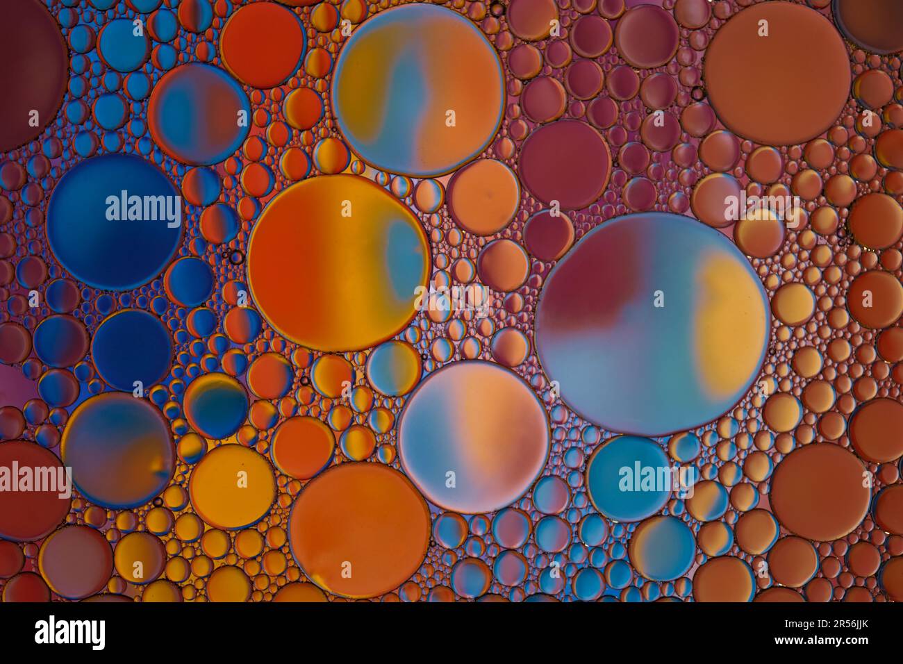 multi colored oil circles on the water, colorful background Stock Photo ...