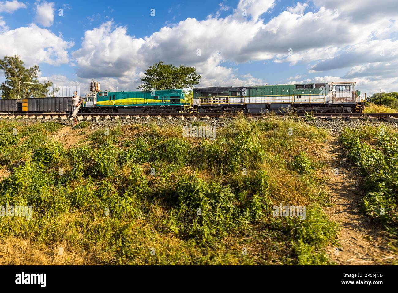 Malawi Train, Liwonde, Malawi. In Malawi, the railroad transports only ...