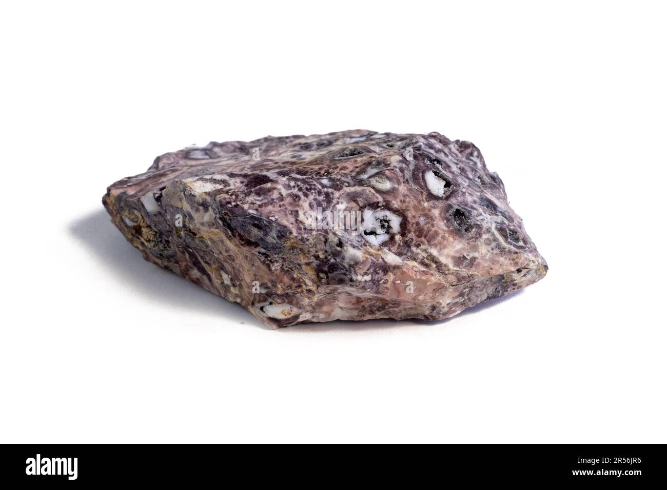 Pelitic Schist Rock isolated on White Background close up Stock Photo ...