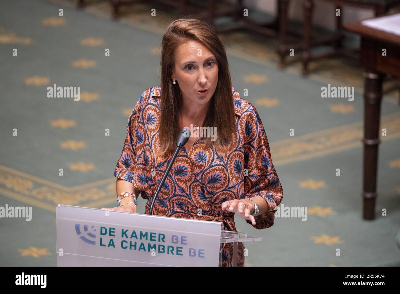 Brussels, Belgium. 01st June, 2023. DeFI's Sophie Rohonyi pictured ...