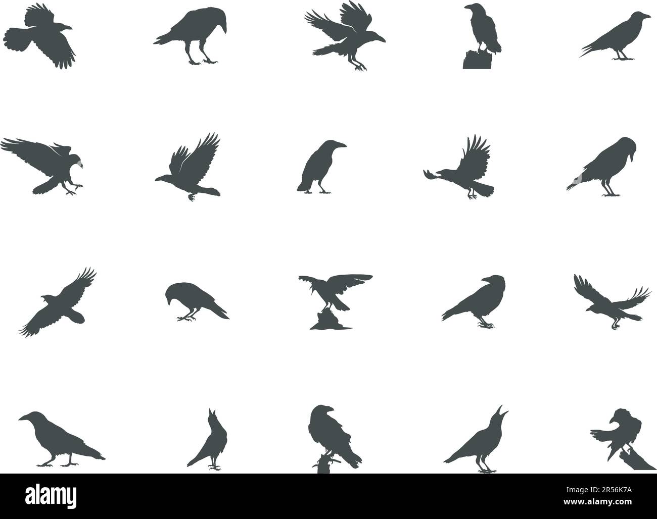Raven silhouette, Crow silhouette, Crow and Raven silhouette, Crow ...