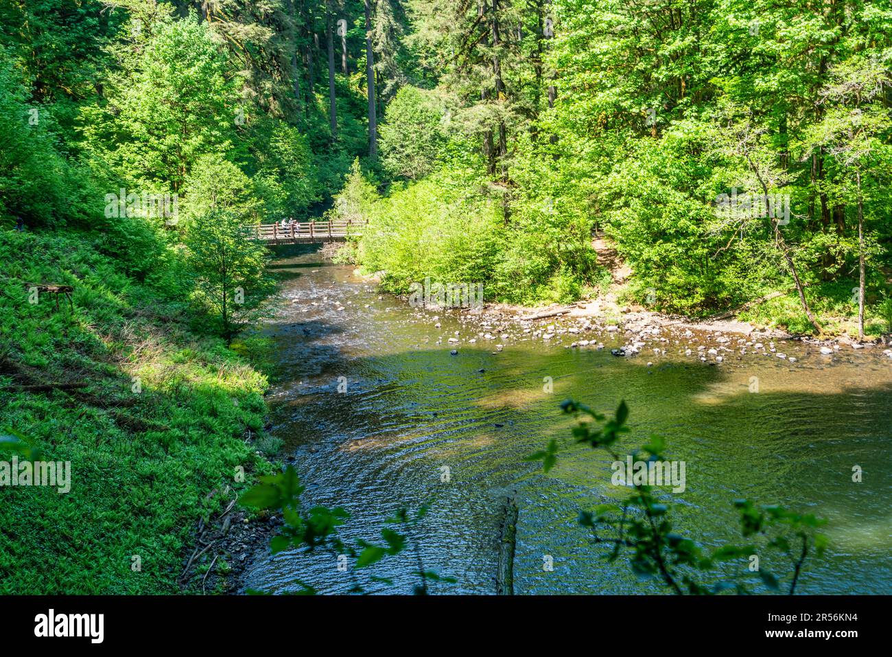 A view of a walking bridge below South Falls at Silver Fals State Park ...