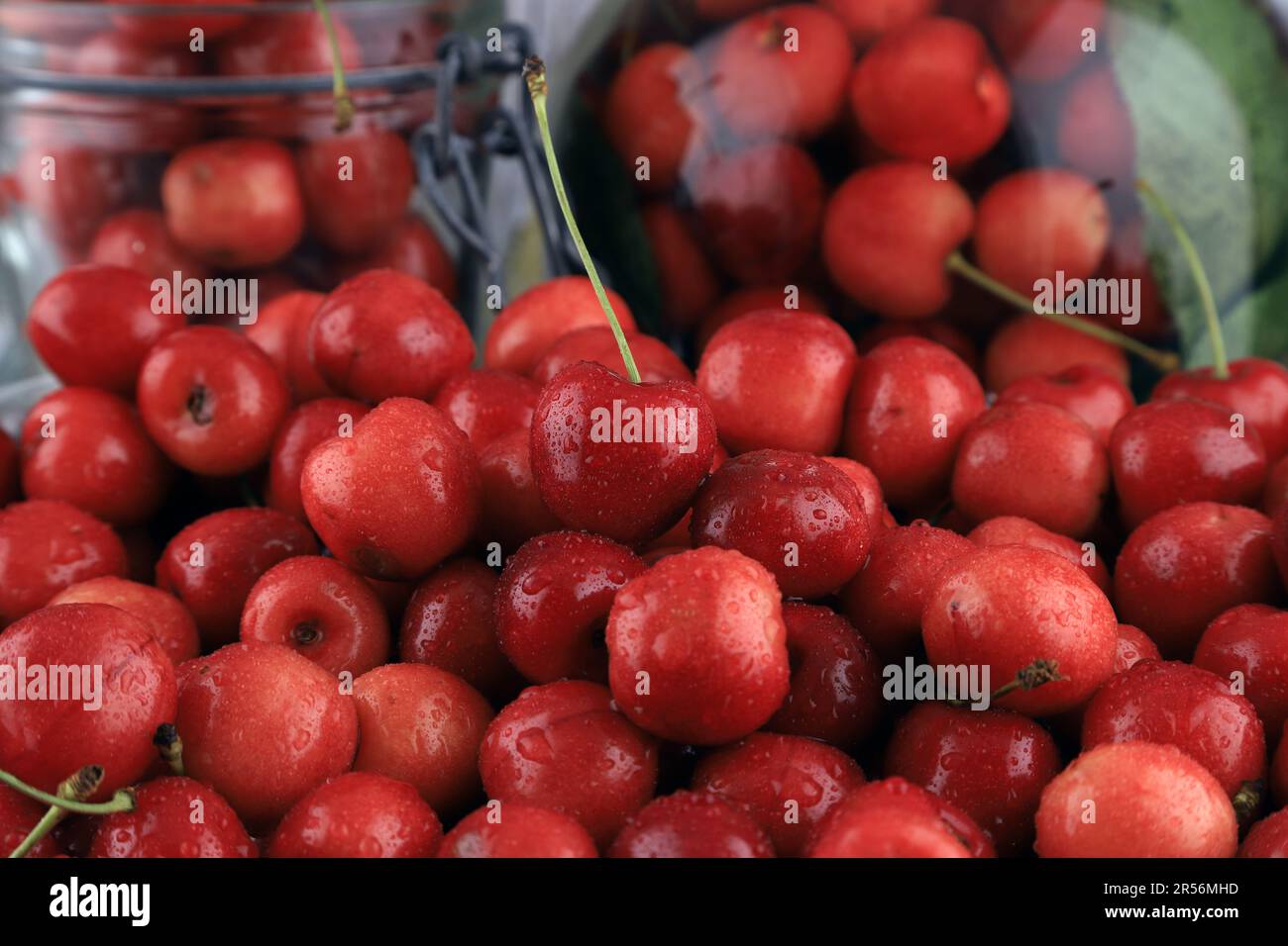Real cherries hi-res stock photography and images - Alamy