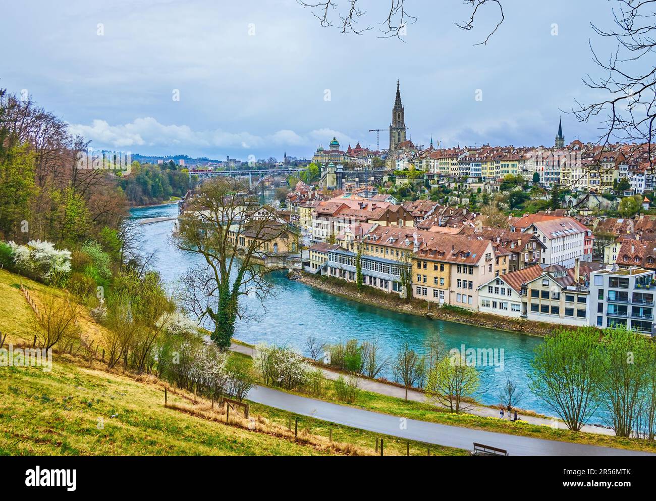 Barenpark bern hi-res stock photography and images - Alamy