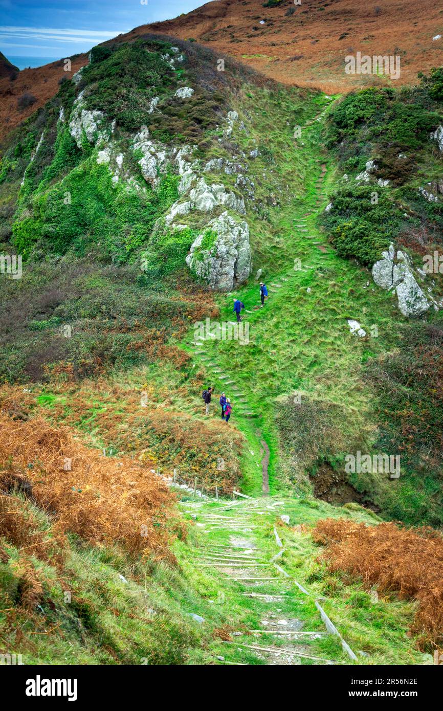 Anglesey coastal path Stock Photo - Alamy