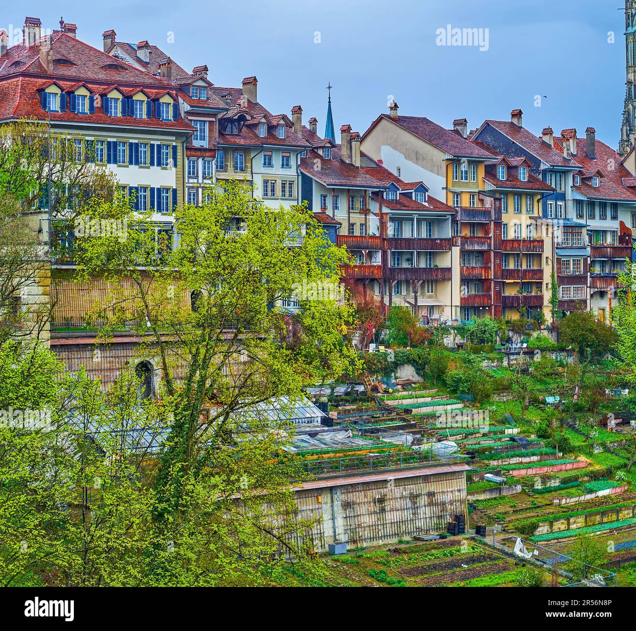 Terraces of Stiftsgarten gardens on the slope of the Altstadt's hill of ...