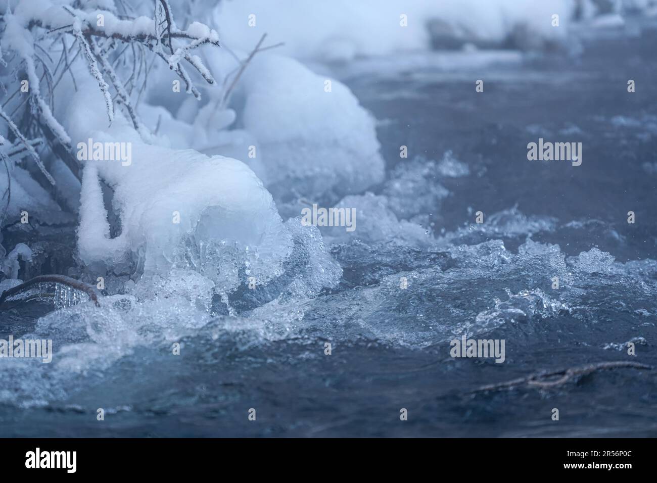 Snow and ice covered tree twigs on frozen river, closeup detail, water ...
