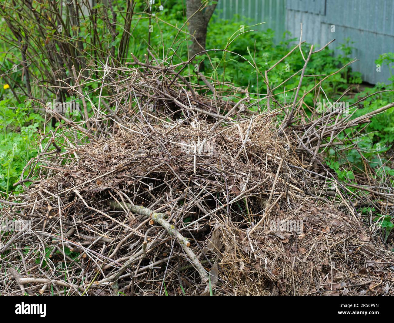 A large pile of dry twigs and branches outdoors Stock Photo - Alamy