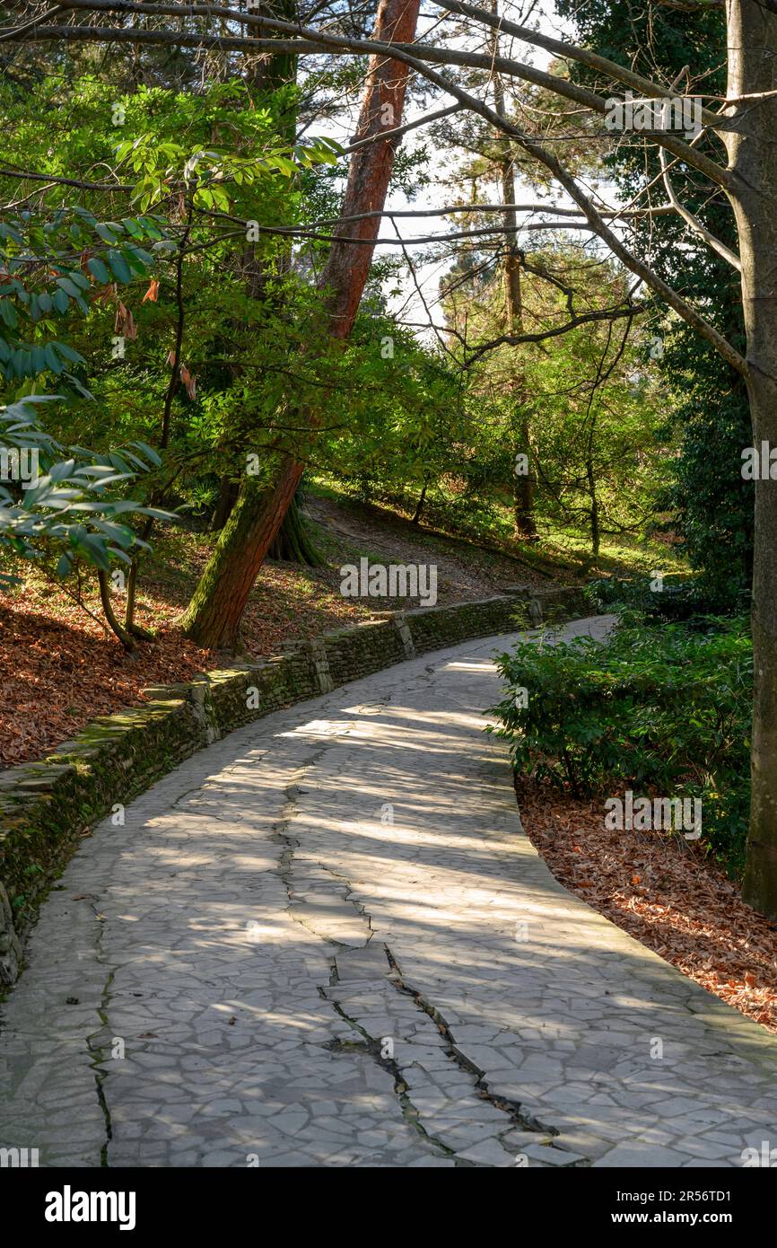 Smooth paved road hi-res stock photography and images - Alamy