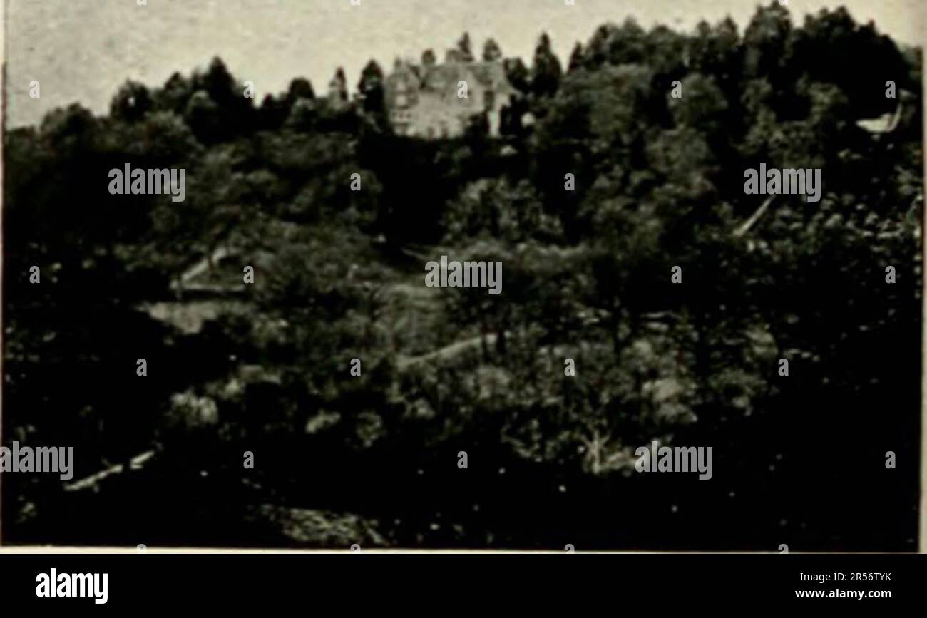 "Whitaker's peerage, baronetage, knightage, and companionage" (1897 ...