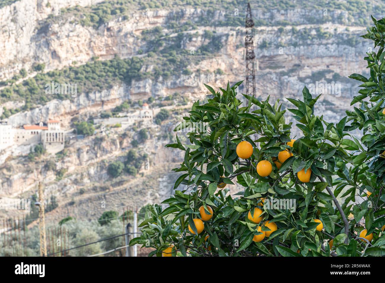 High mountain landscape in Lebanon, Qadisha Valley Stock Photo - Alamy