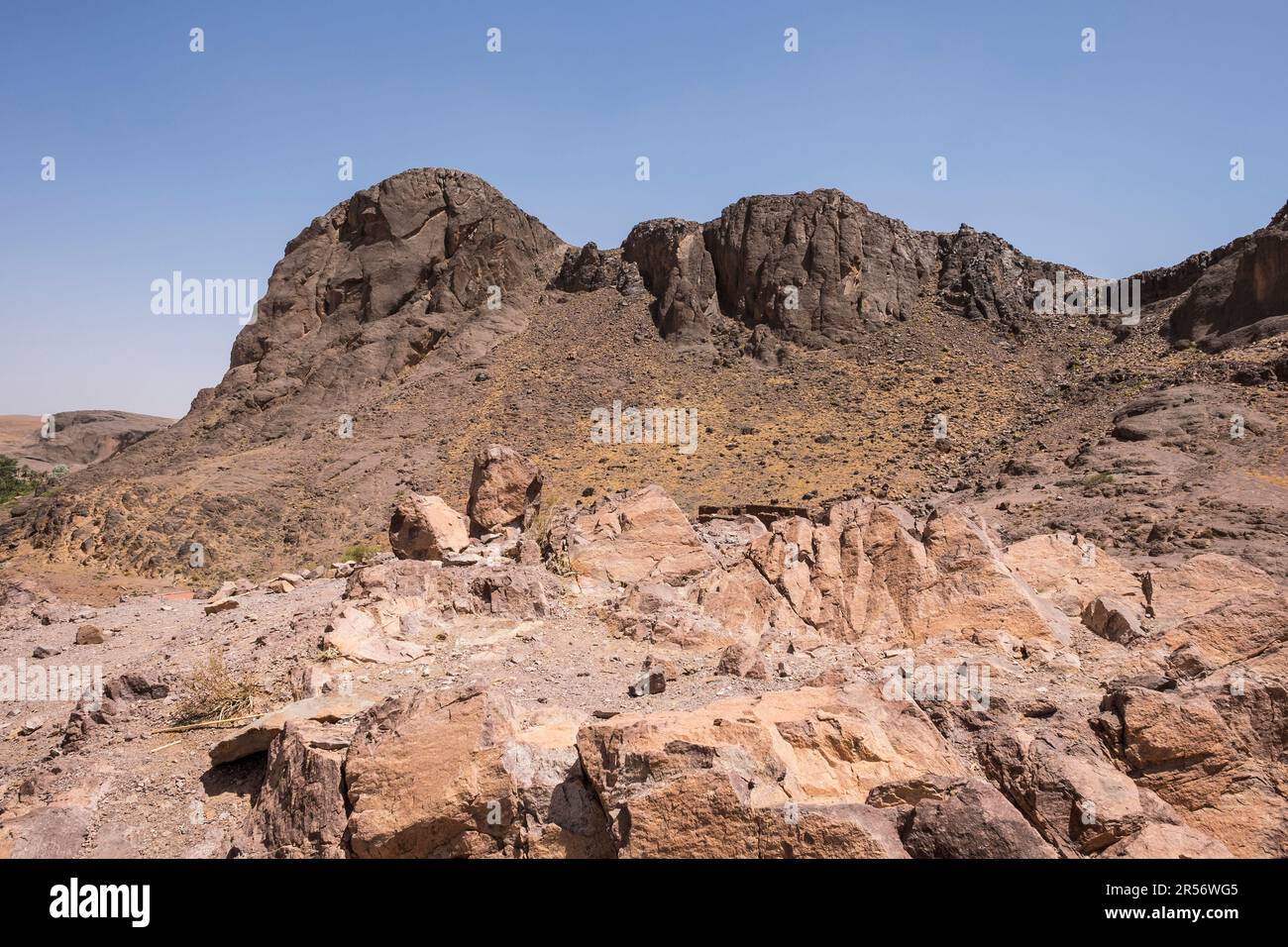 Oasis de fint. fint. morocco Stock Photo - Alamy