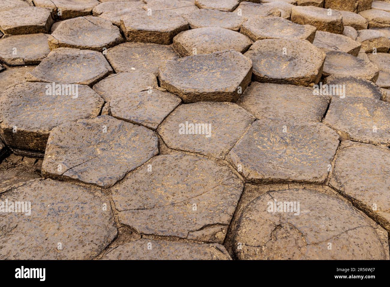 Interlocking basalt formations at the Giant's Causeway, Bushmills ...