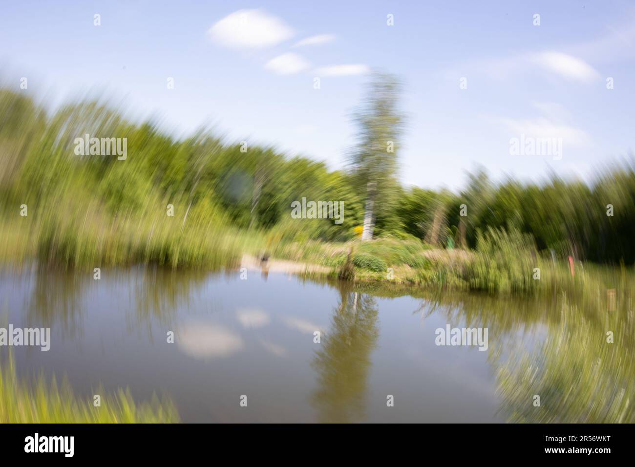 idyllic pond with bank vegetation, trees and reflections in speed ...