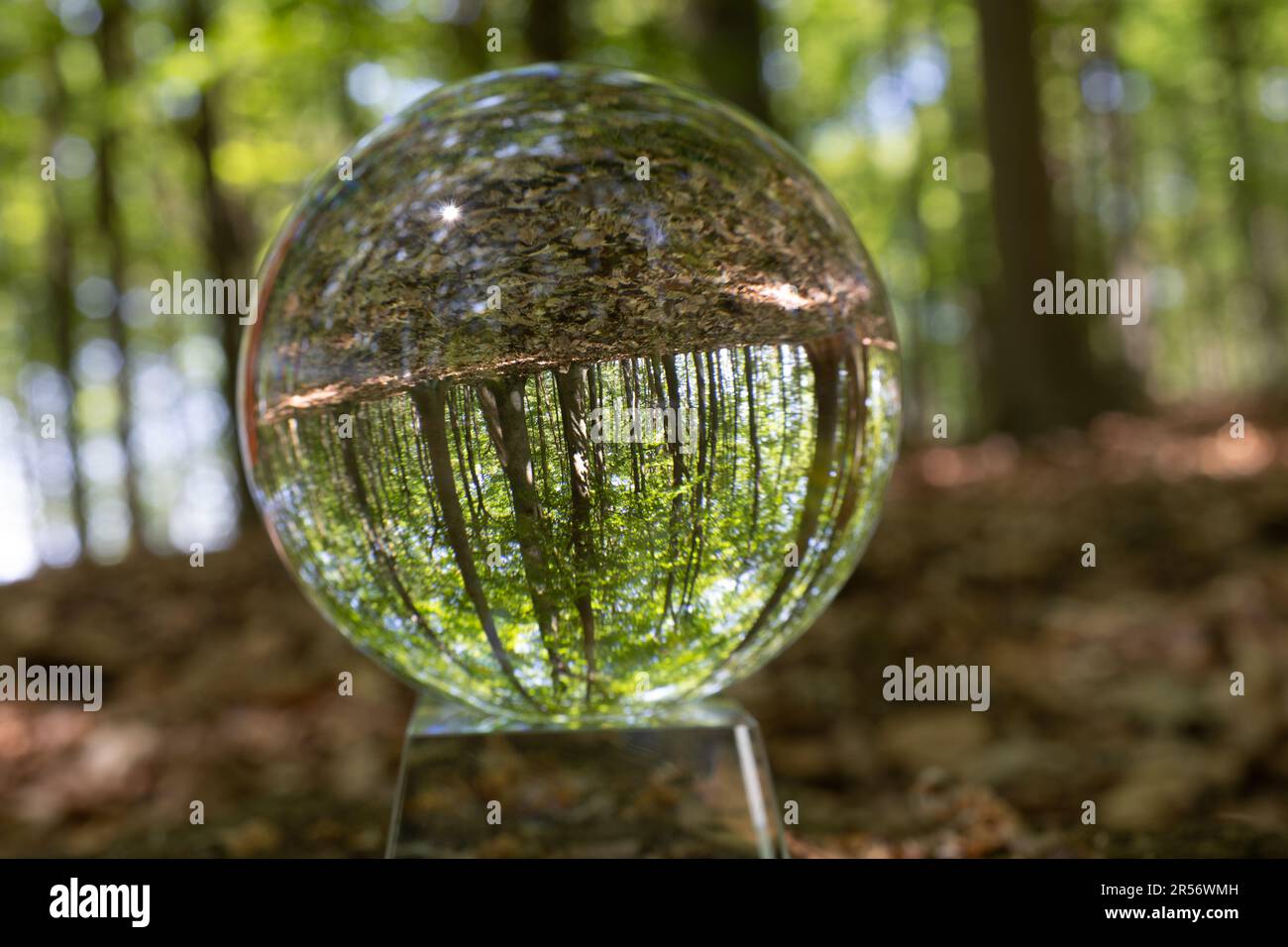 The landscape is turned upside down in the glass ball Stock Photo - Alamy