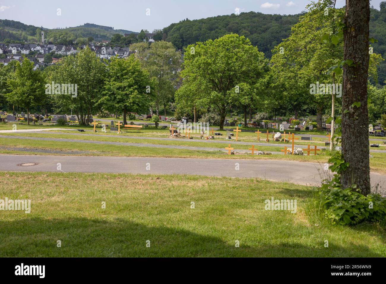 Grave field in a cemetery with gravestones and flower arrangements ...