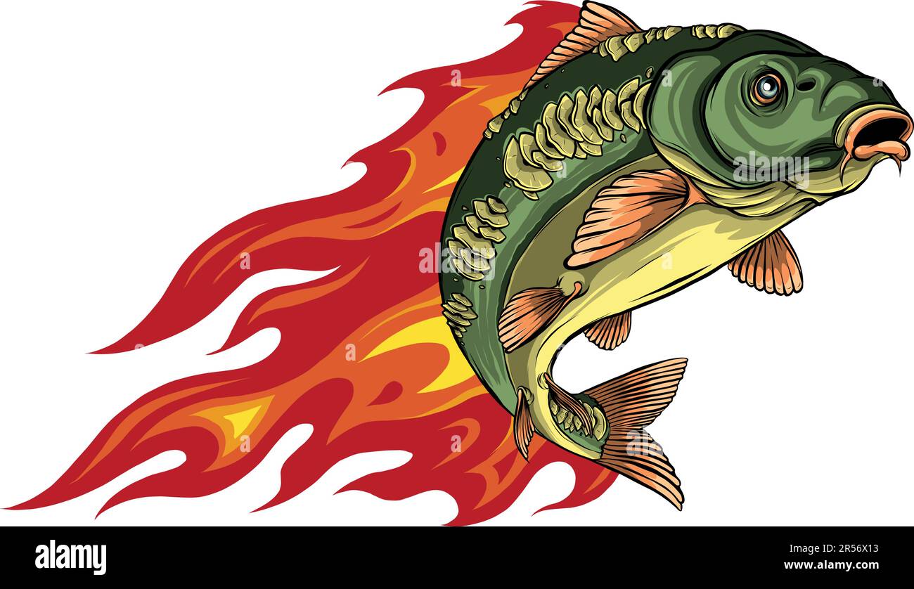 vector illustration of carp Fish with flames Stock Vector Image & Art ...