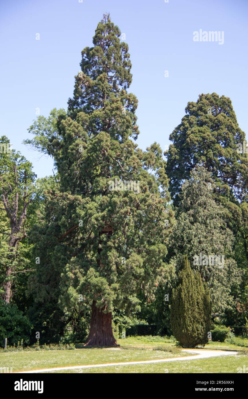 castle Gracht mit castle park Stock Photo - Alamy