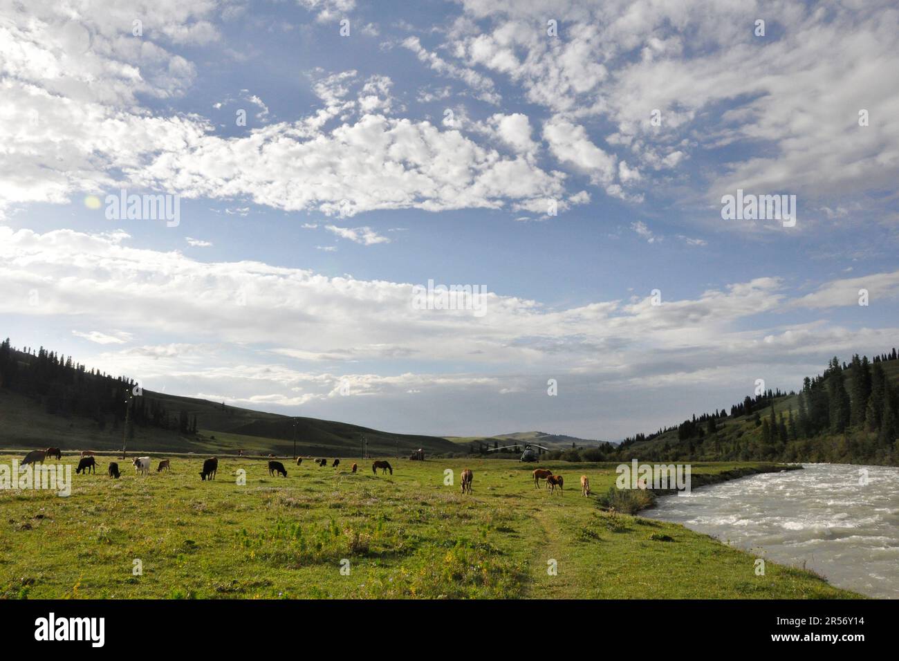 Kyrgyzstan. Karkara valley Stock Photo - Alamy