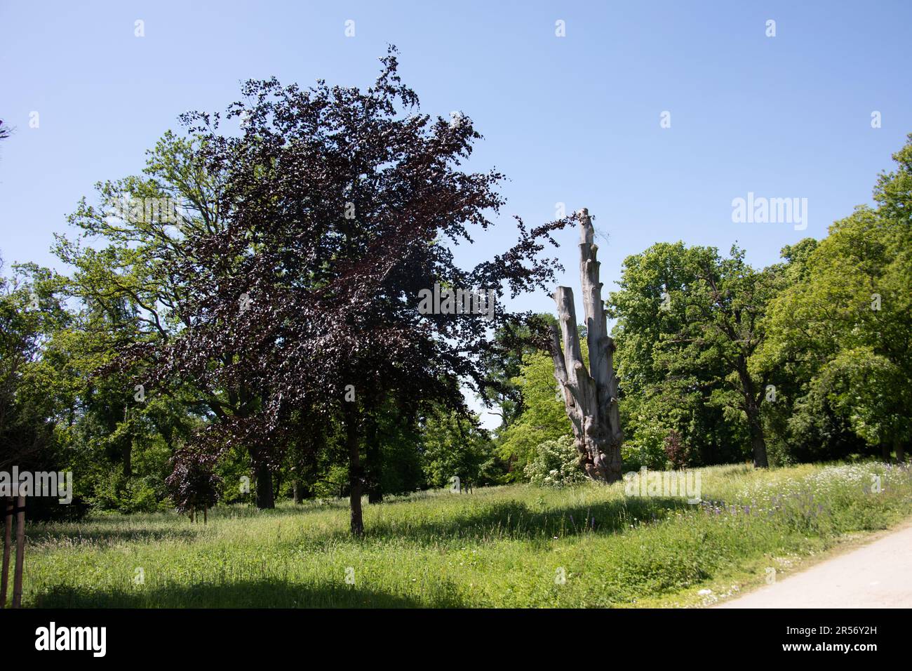 castle Gracht mit castle park Stock Photo - Alamy
