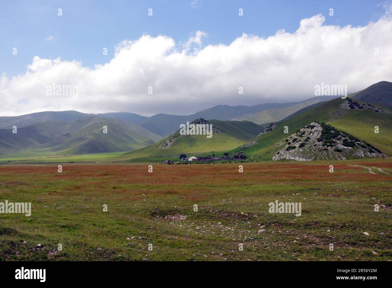 Kyrgyzstan. Karkara valley Stock Photo - Alamy