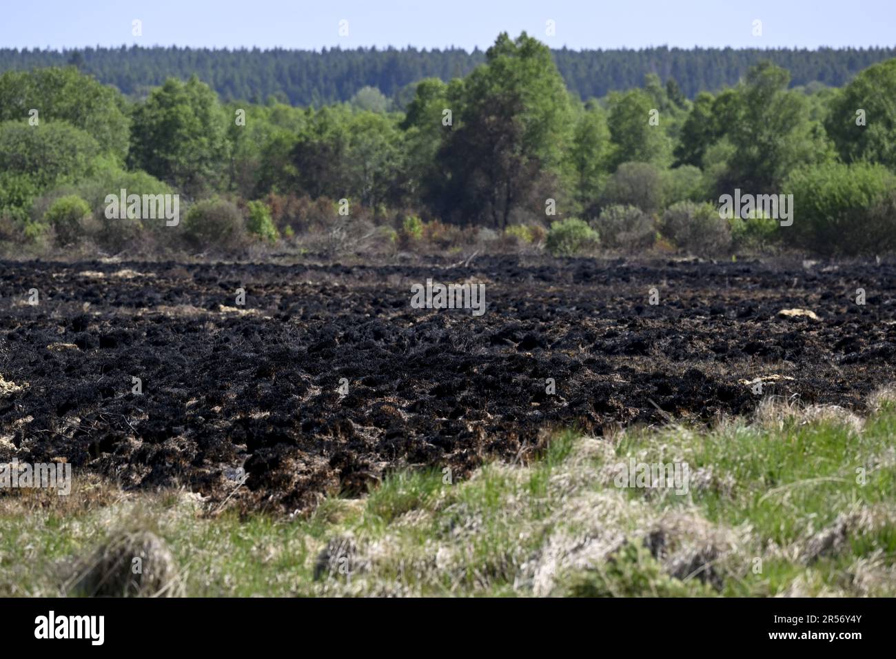 Eupen, Belgium. 01st June, 2023. Illustration shows some burnt ...