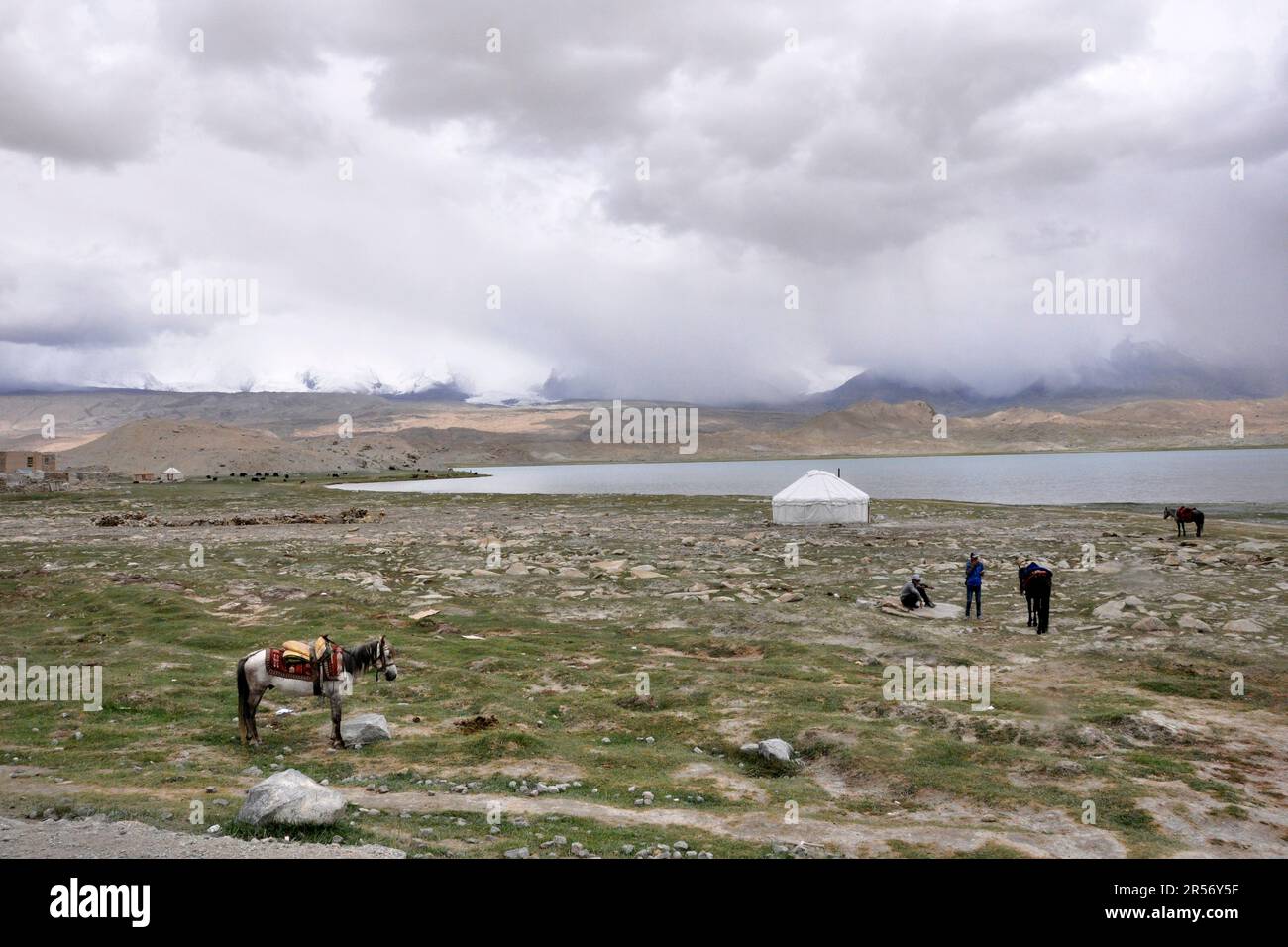 Karakul hi-res stock photography and images - Alamy