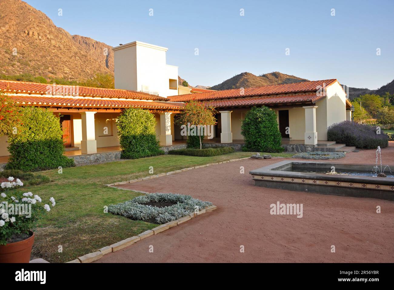 Vinas de cafayate hi-res stock photography and images - Alamy