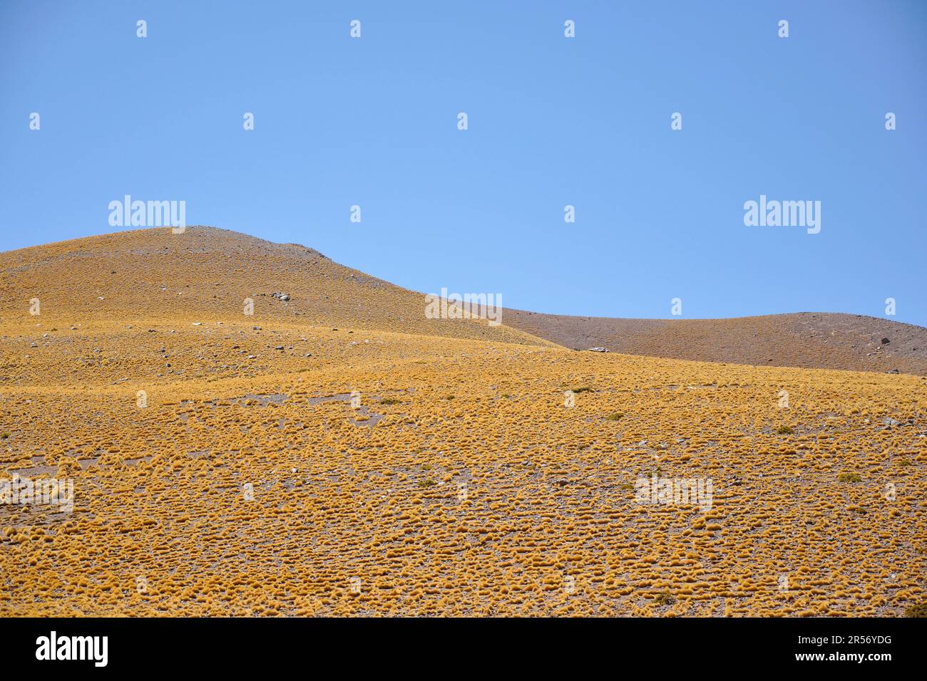 Landscape of the puna desert hi-res stock photography and images - Alamy