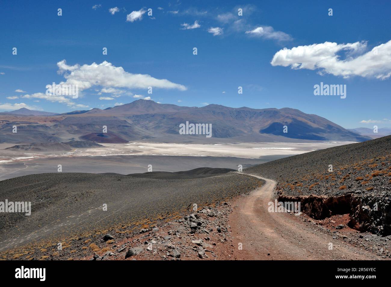 Puna region hi-res stock photography and images - Alamy