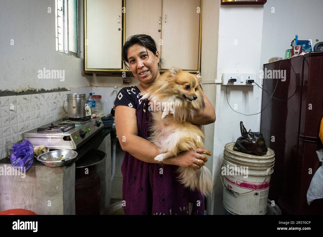 Kolkata dogs hi-res stock photography and images - Alamy