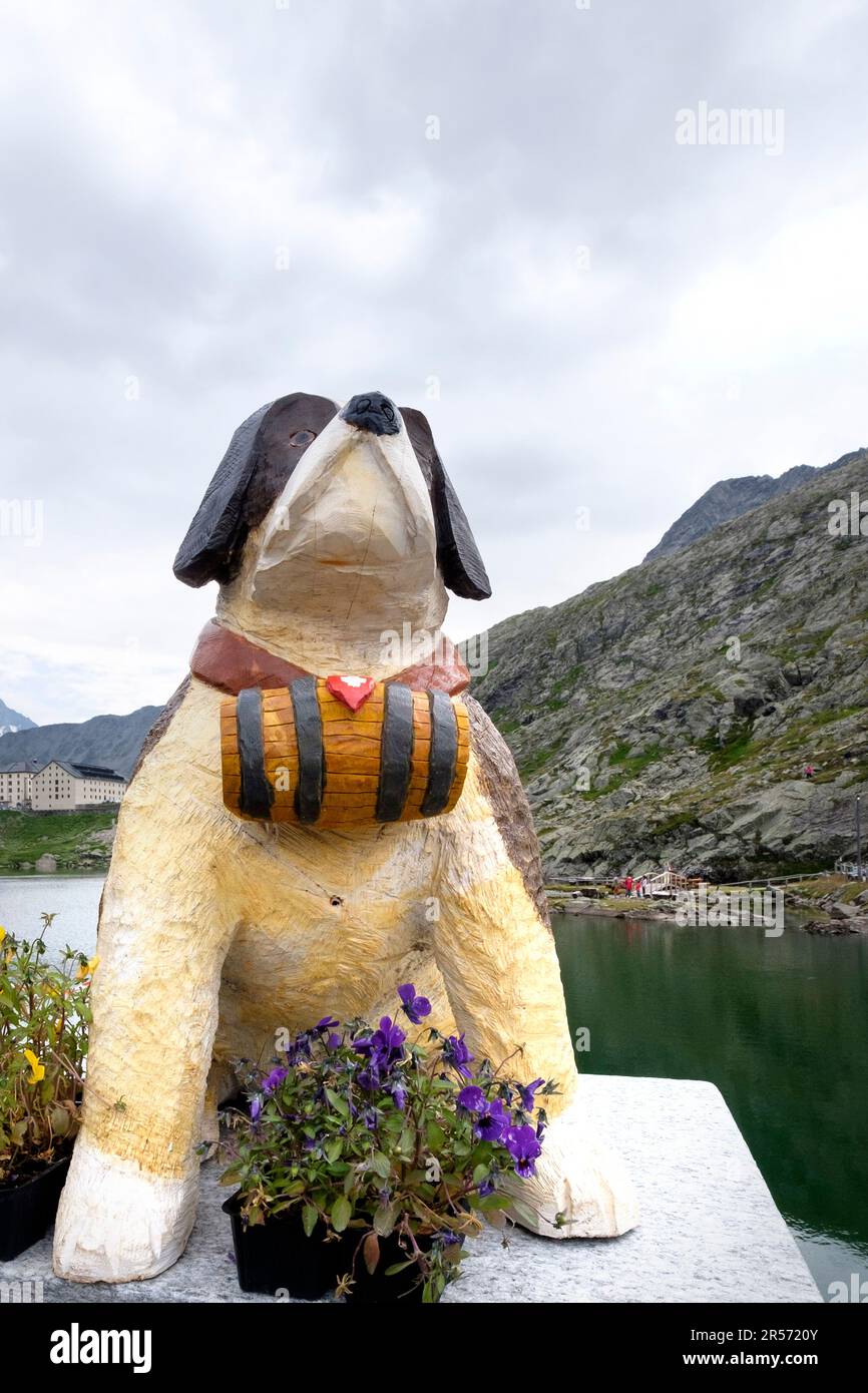 St bernard pass dog hi-res stock photography and images - Alamy