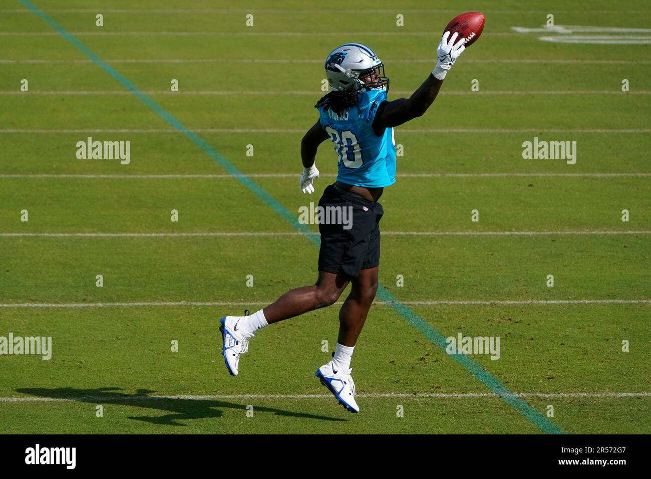 Carolina Panthers tight end Ian Thomas (80) makes a catch during NFL ...