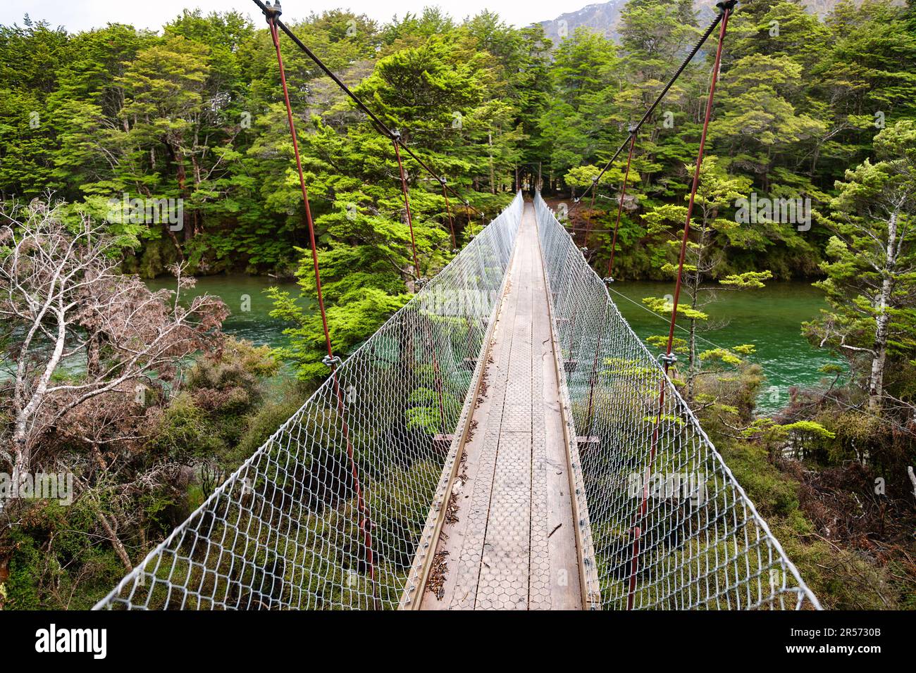 Suspension walking bridge over the Mararoa River, Mavora Lakes ...