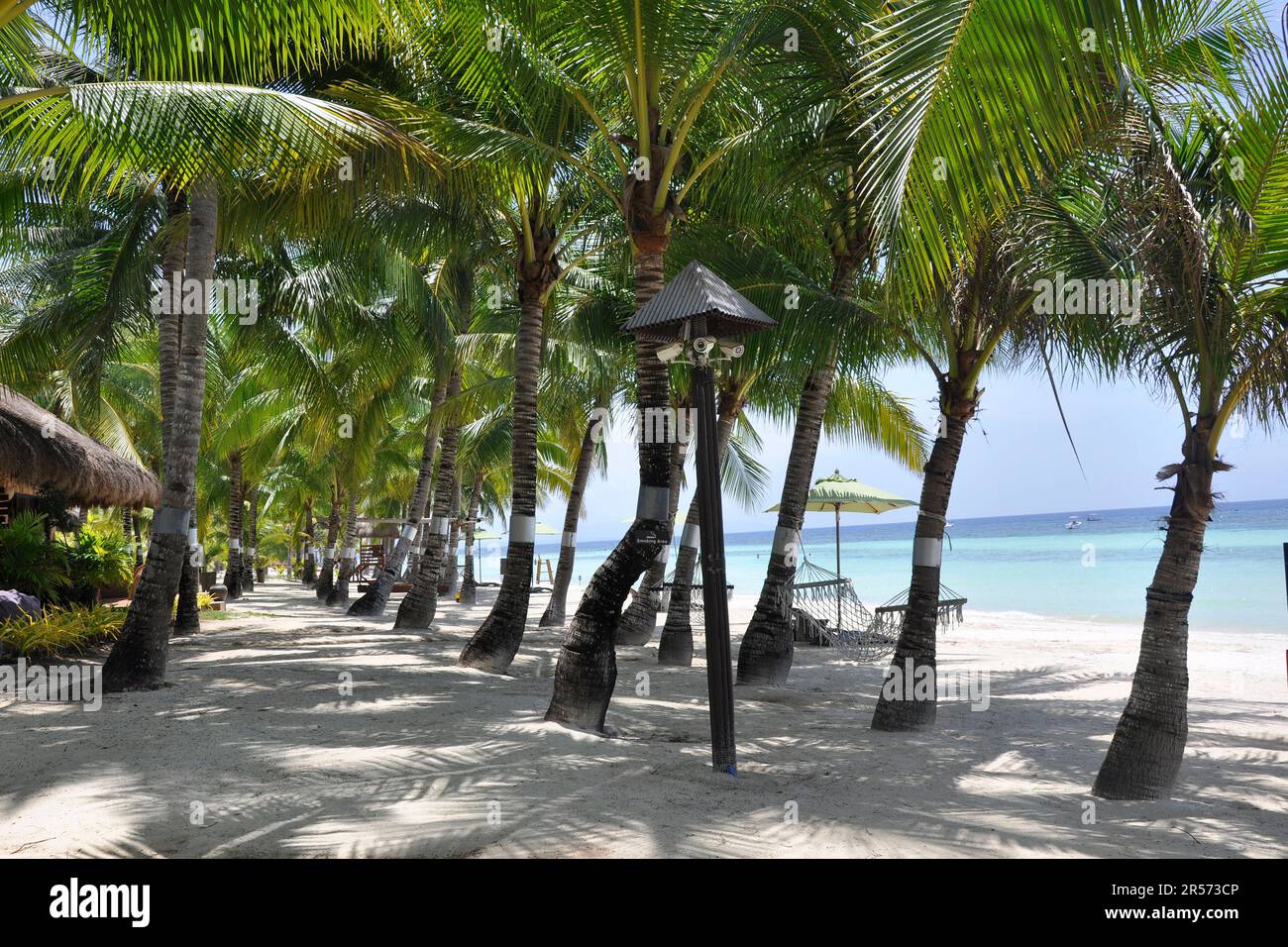 Philippines. Panglao island. South Palm hotel Stock Photo - Alamy