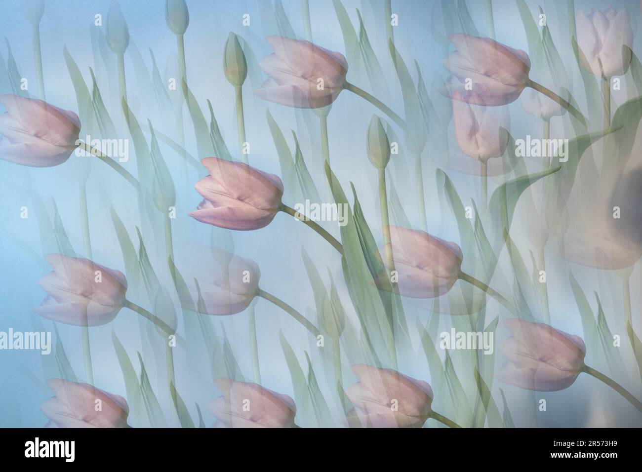 Artistic repetition hi-res stock photography and images - Alamy