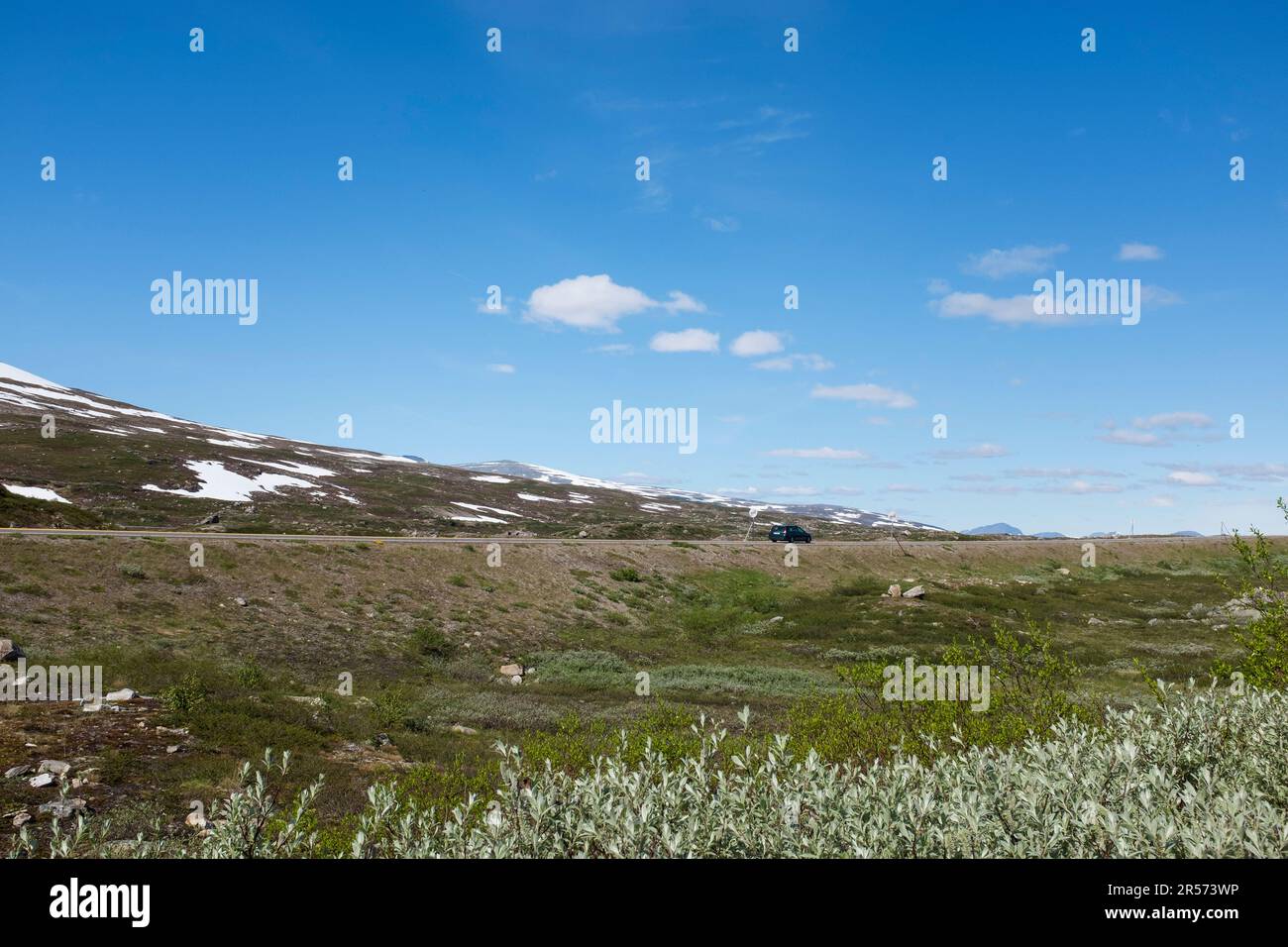 Saltfjellet hi-res stock photography and images - Alamy