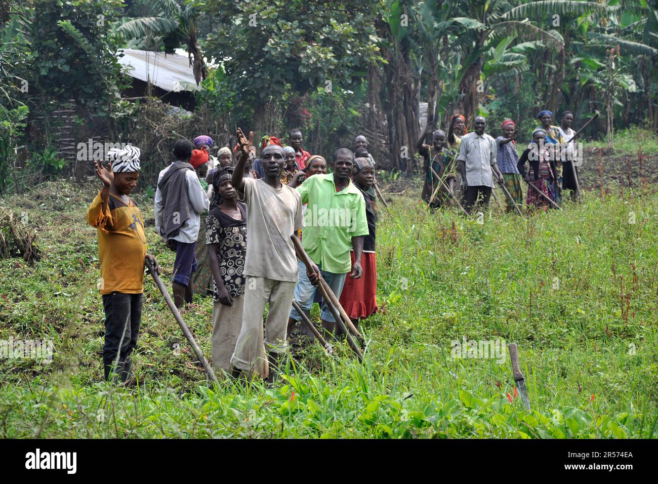 Congo. Virunga National Park Stock Photo - Alamy