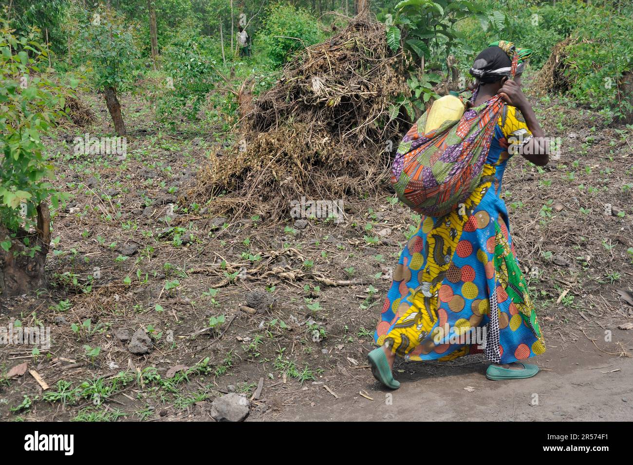 Virunga park hi-res stock photography and images - Alamy