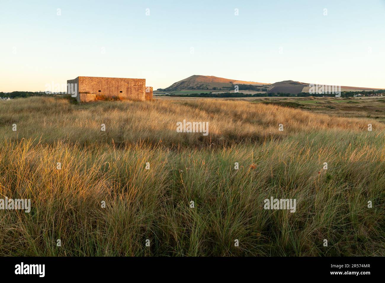 Sunrise at Scottish Wildlife Trust Dumbarnie links wildlife reserve ...