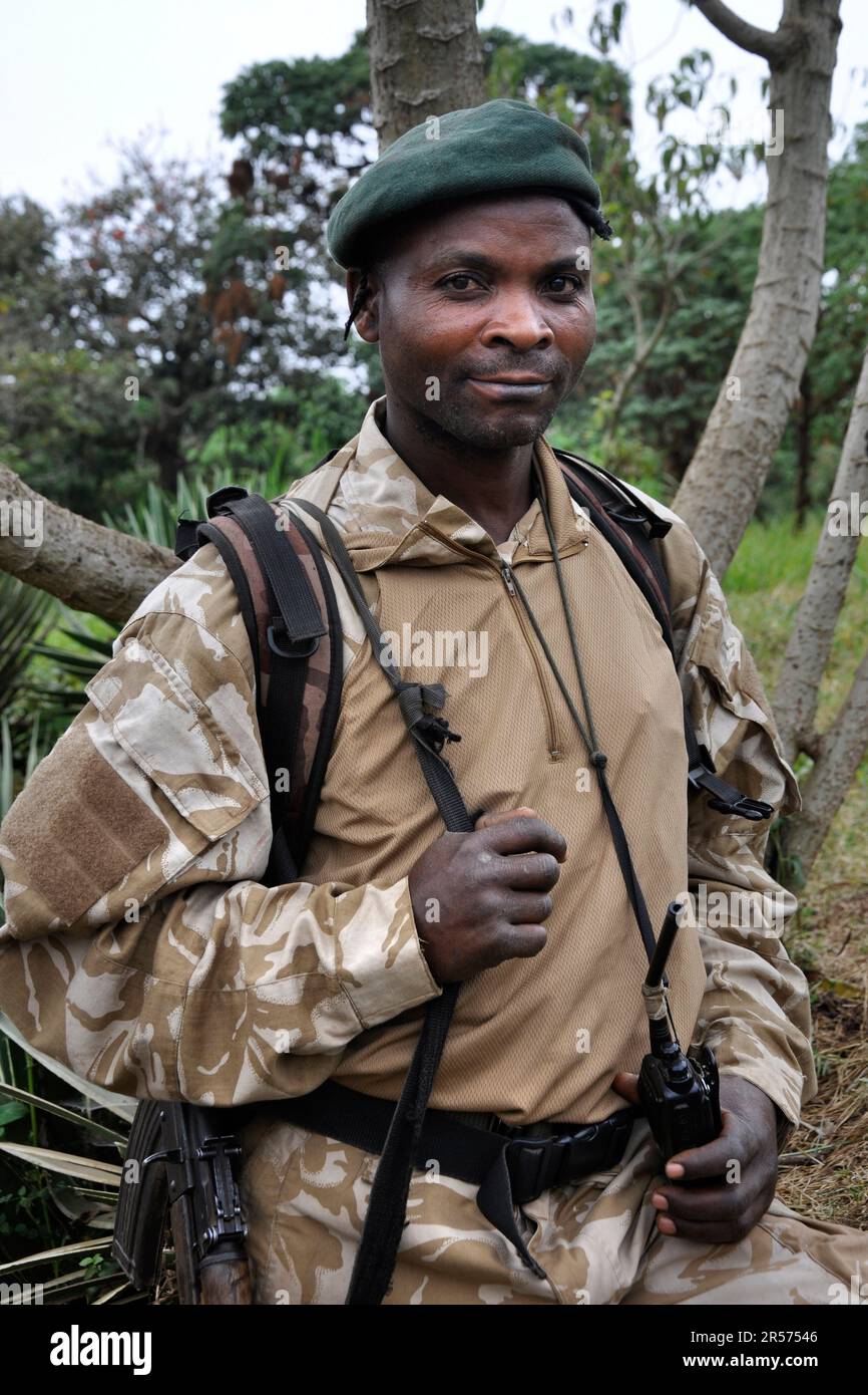 Kahuzi biega national park congo hi-res stock photography and images ...