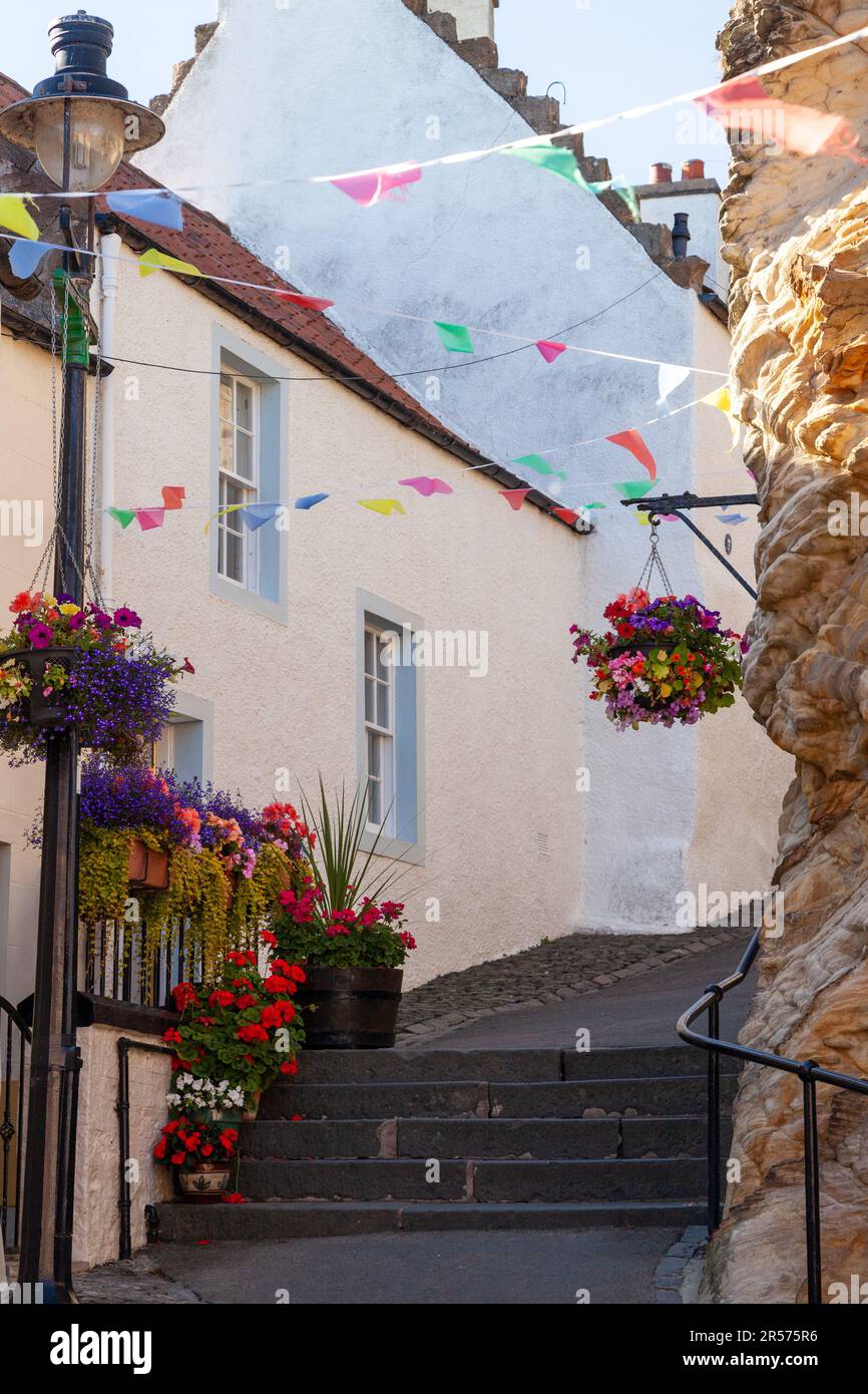 Cove Wynd, Pittenweem Stock Photo - Alamy