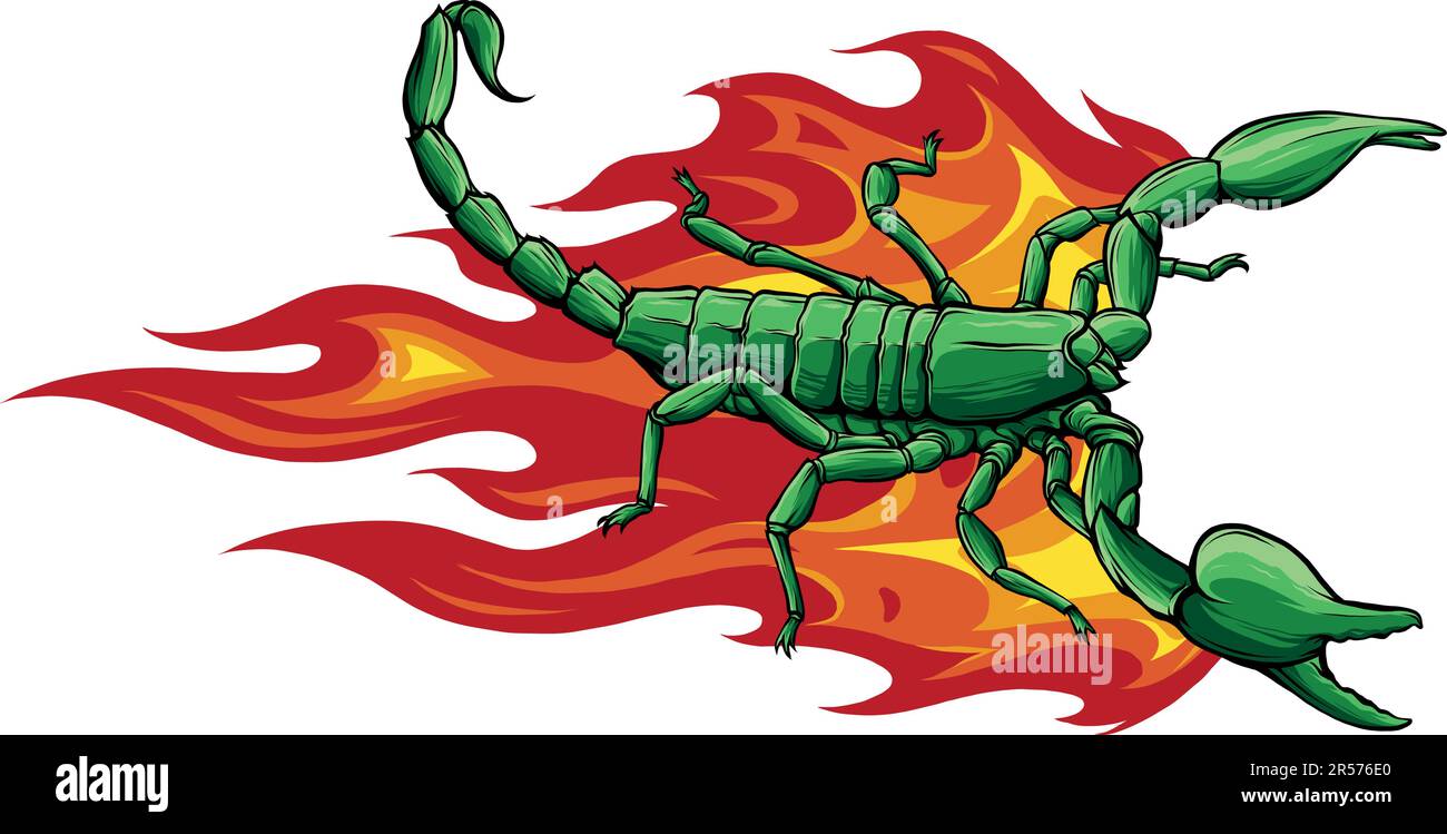 illustration of scorpion with flames Stock Vector Image & Art - Alamy