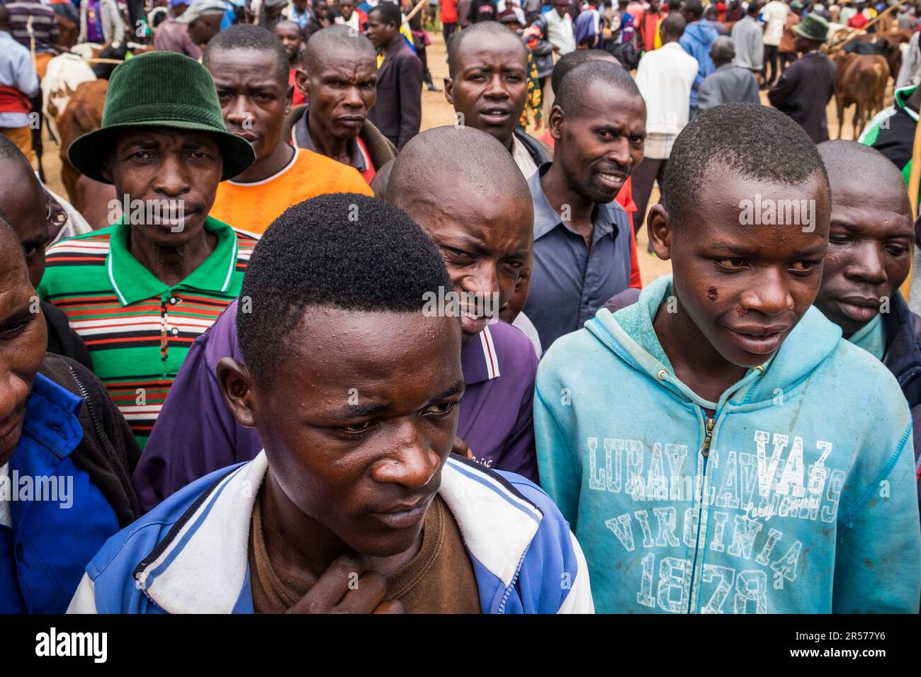 Rwanda. surrounding of Cyangugu. cows market Stock Photo - Alamy
