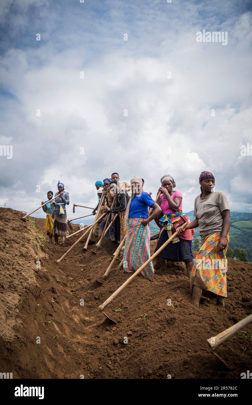 Rwanda. surrounding of Kibuye. peasants at work Stock Photo - Alamy
