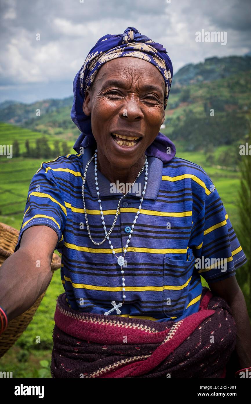 Rwanda. surrounding of Kibuye. tea coultivation. workers Stock Photo ...