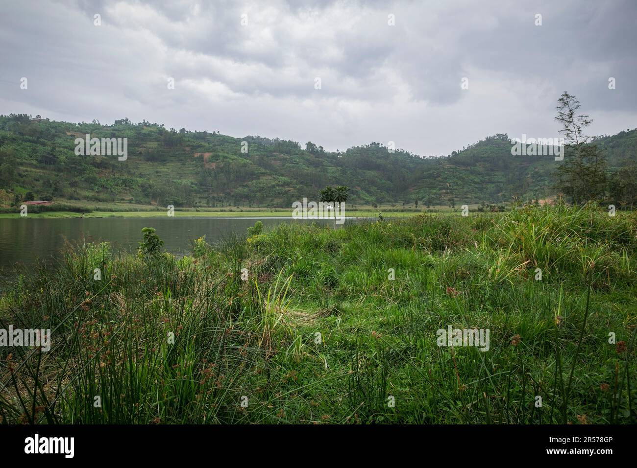 Rwanda. surrounding of Ruhengeri (Musanza). landscape Stock Photo - Alamy