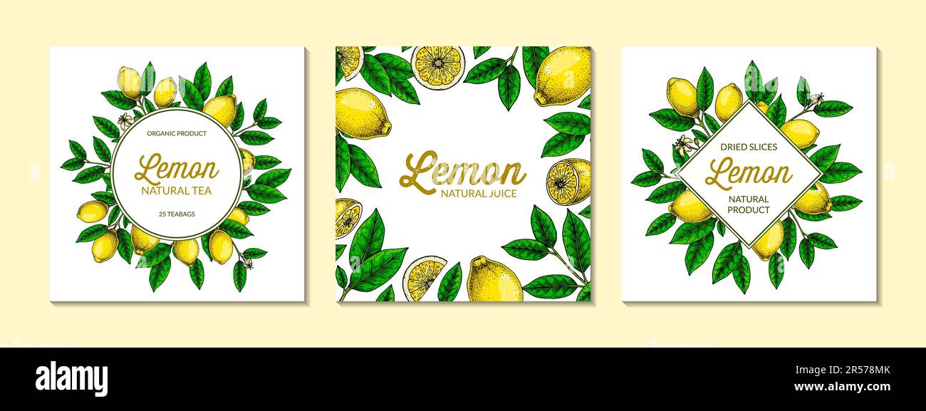 Square lemon background. Hand drawn colorful vector illustration in ...
