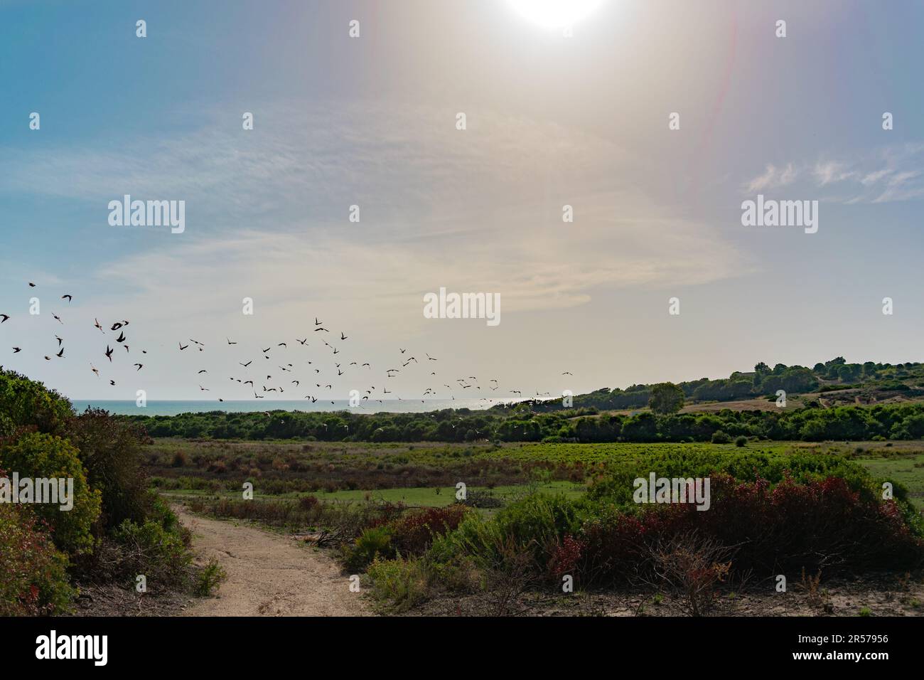 Suggestive view hi-res stock photography and images - Alamy